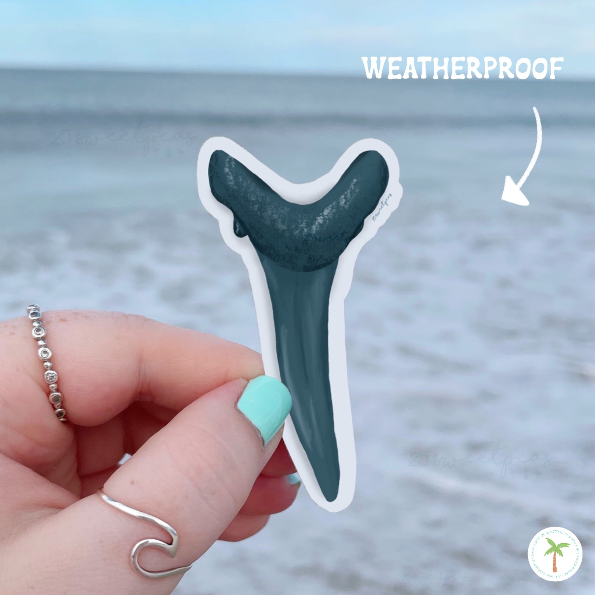 Shark Tooth Sticker Tiger Shark Tooth Sticker Matte Clear - Etsy