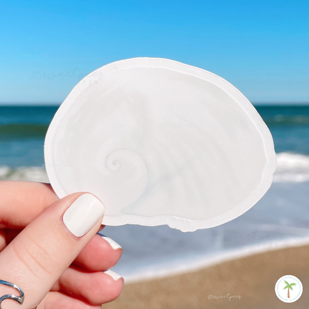 Baby's Ear Sea Shell Sticker , Birth Shell Sticker, Matte Clear ...