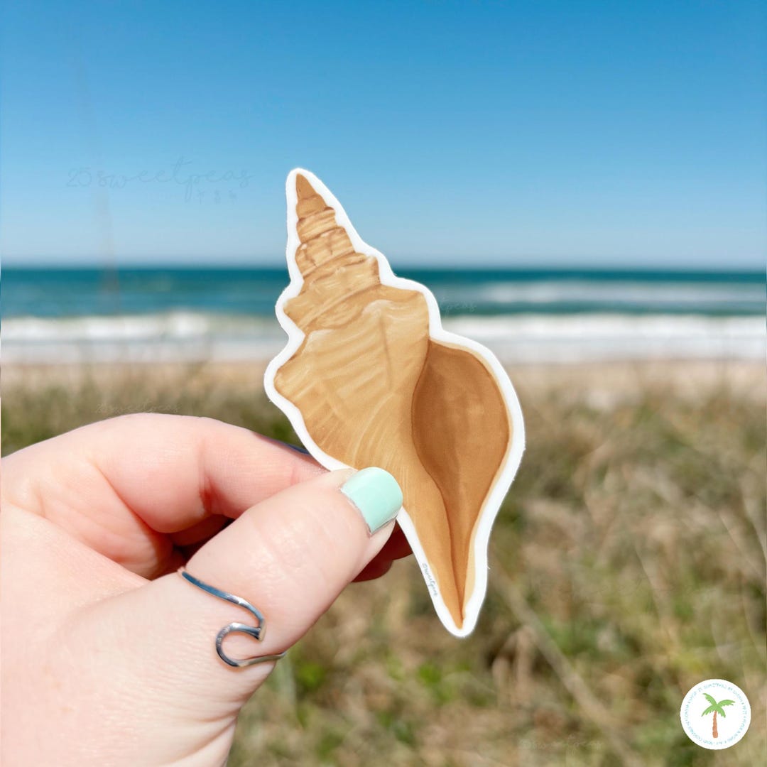 Horse Conch Shell Sticker, Seashell Sticker, Sea Shell Lover Gift ...