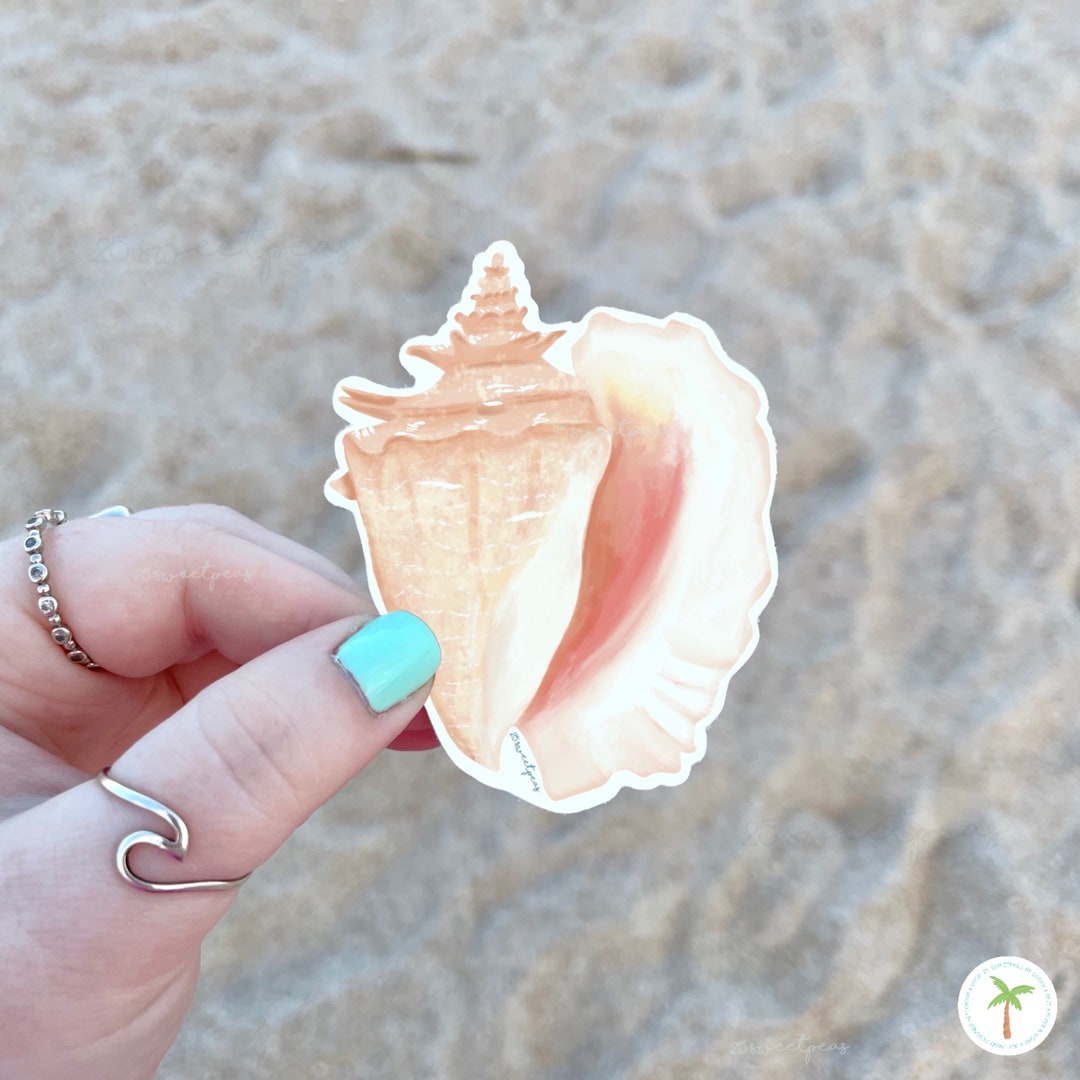Queen Conch Shell Sticker, Seashell Sticker, Sea Shell Lover Gift ...