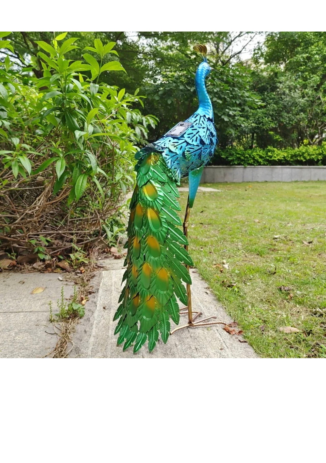 Peacock With Solar Lighting - Garden Decor - Etsy