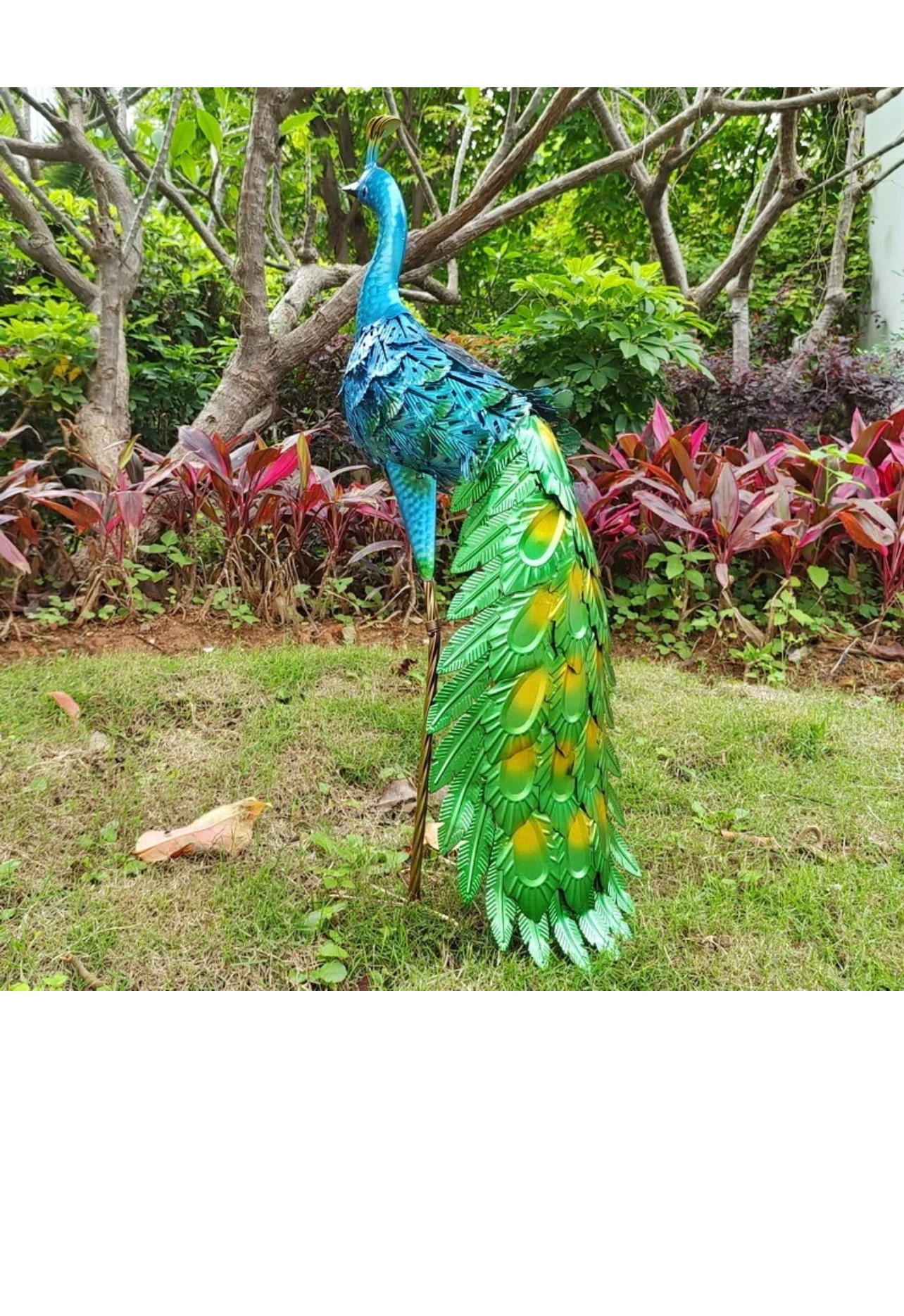 Peacock With Solar Lighting - Garden Decor - Etsy