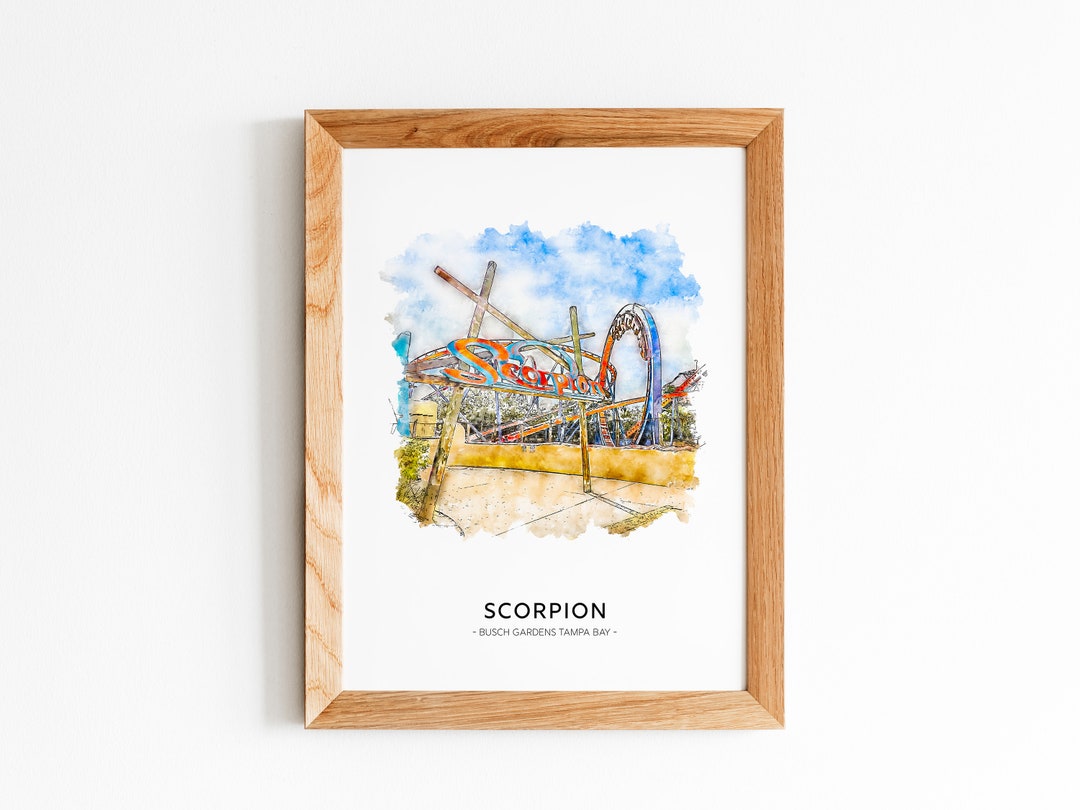 Scorpion Busch Gardens Watercolour Style Print - Etsy