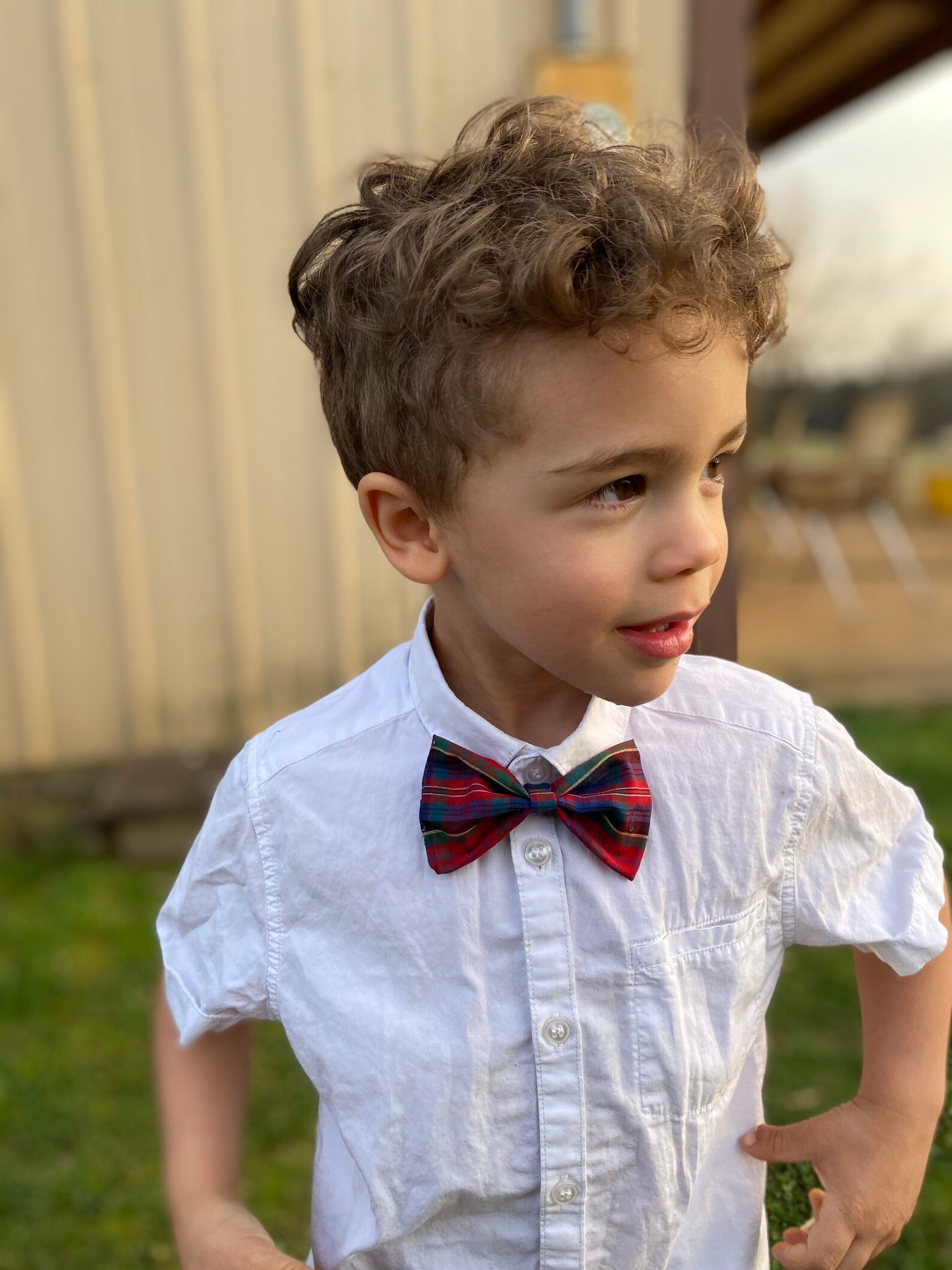 Boys Bow Tie, Easter Bow Tie, Spring Bow Tie, Bow Tie With Clip, Spring ... Boys Bow Tie, Easter Bow Tie, Spring Bow Tie, Bow Tie With Clip, Spring ...