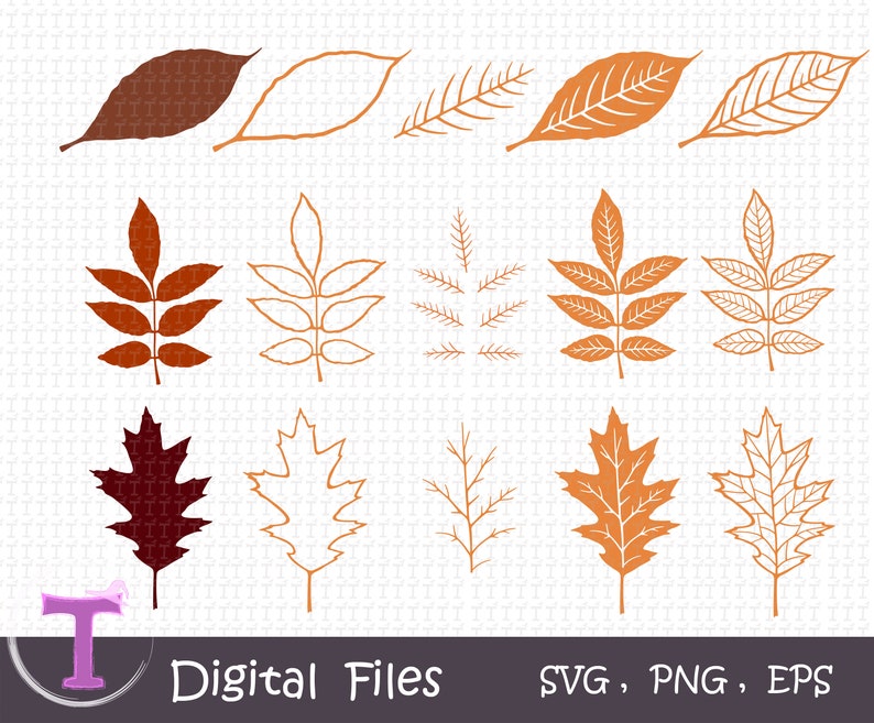 Fall Leaves SVG Bundle, Autumn Leaf Outline, Spring Leaf Clipart ...