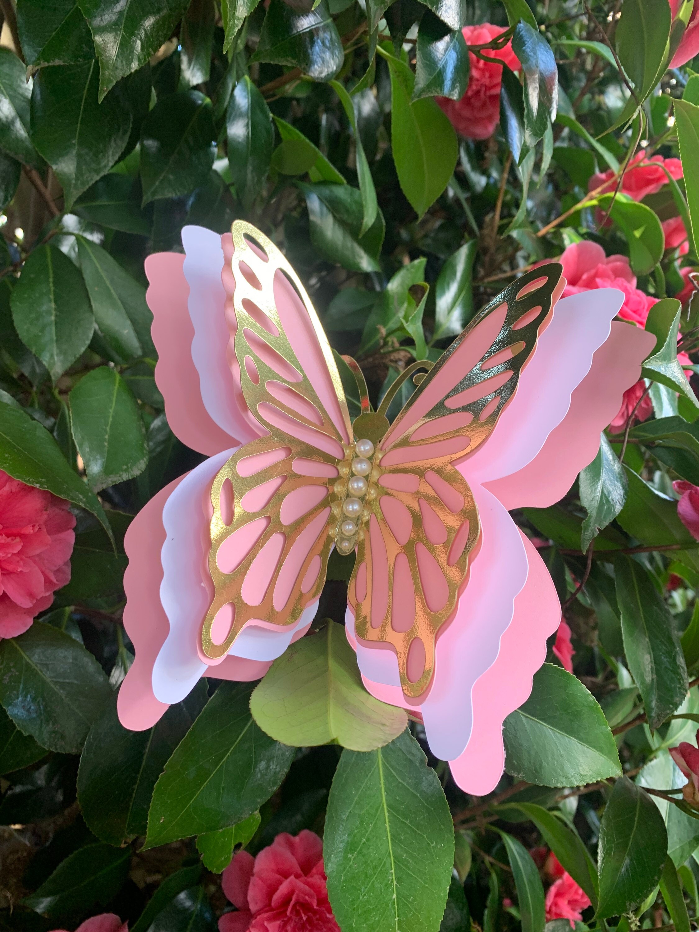 Giant 3D Paper Butterflyset of 3 Butterfliesnursery Wall - Etsy