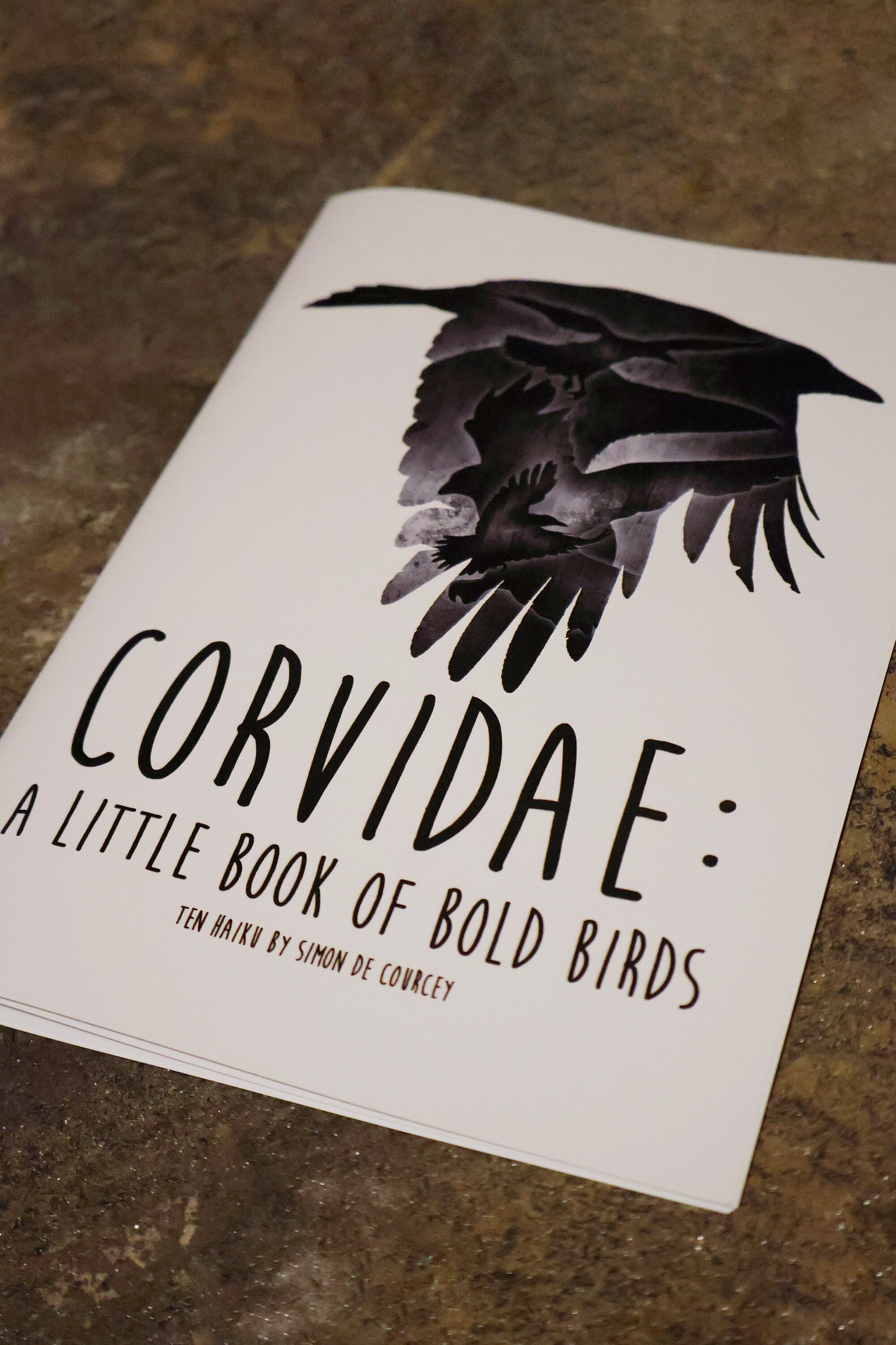 Corvidae: A Little Book of Bold Birds - Etsy