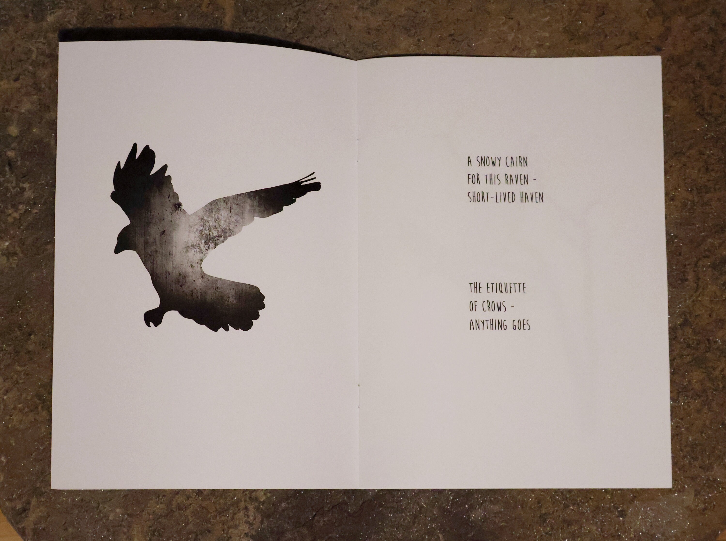 Corvidae: A Little Book of Bold Birds - Etsy