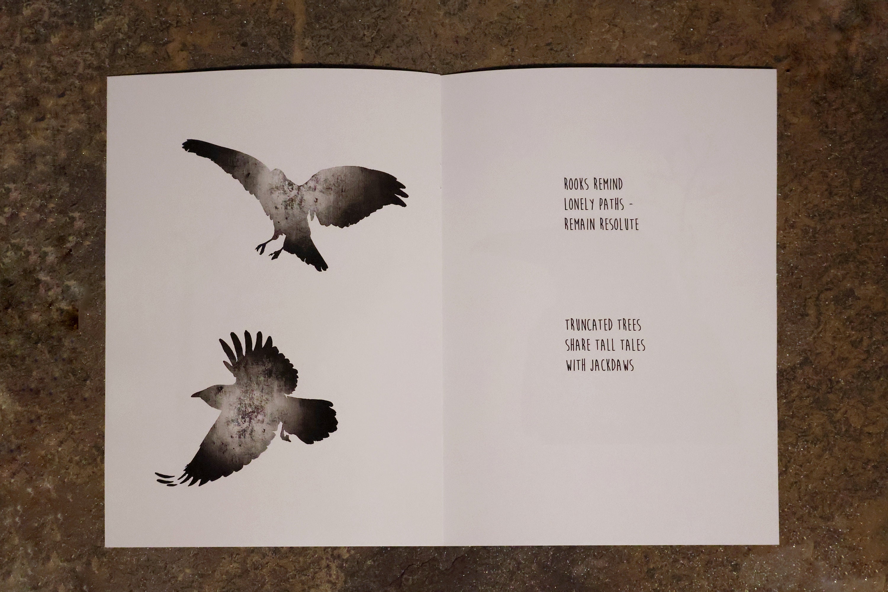 Corvidae: A Little Book of Bold Birds - Etsy