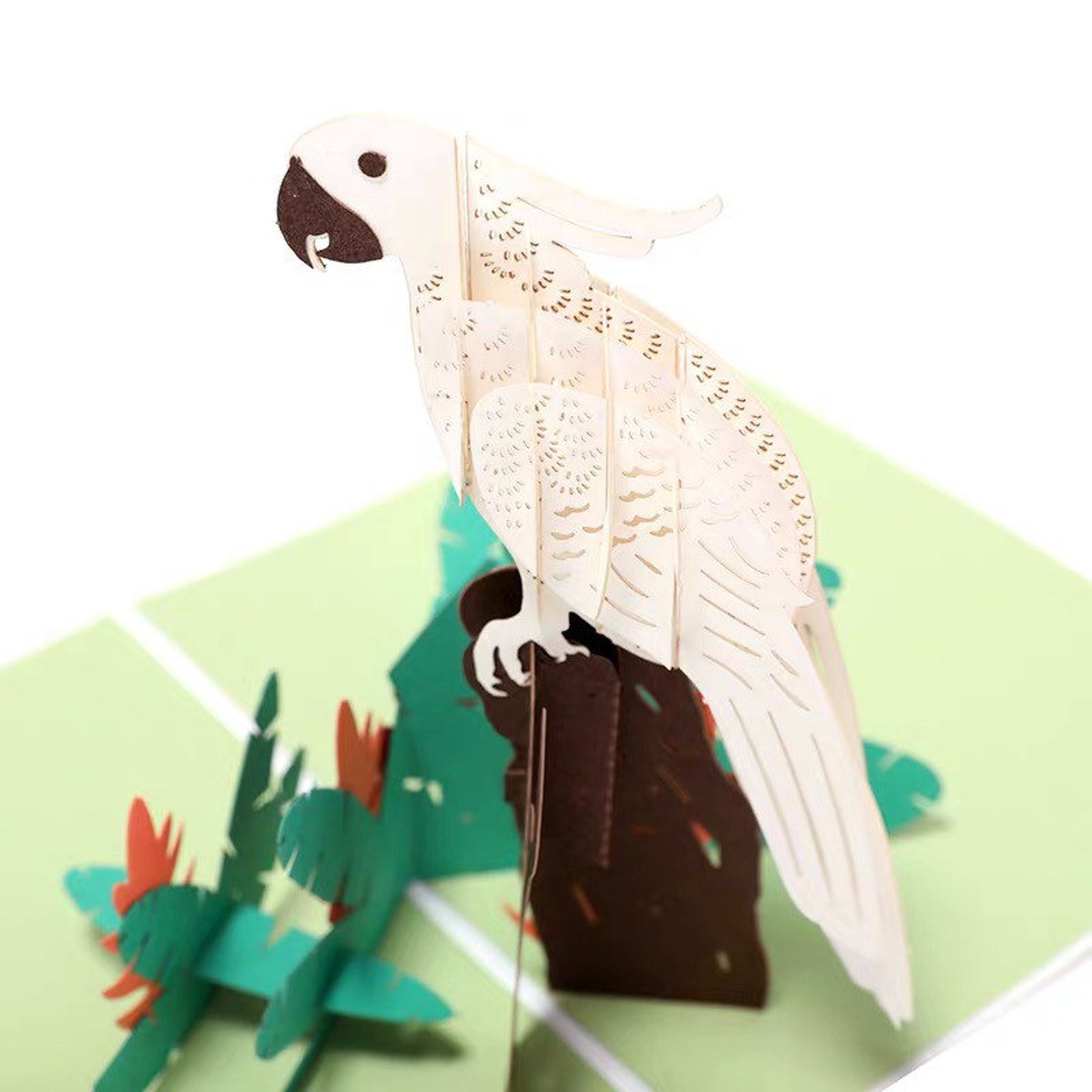 Parrot Bird Pop up 3D Card Birthday Fun Special Occasion | Etsy UK
