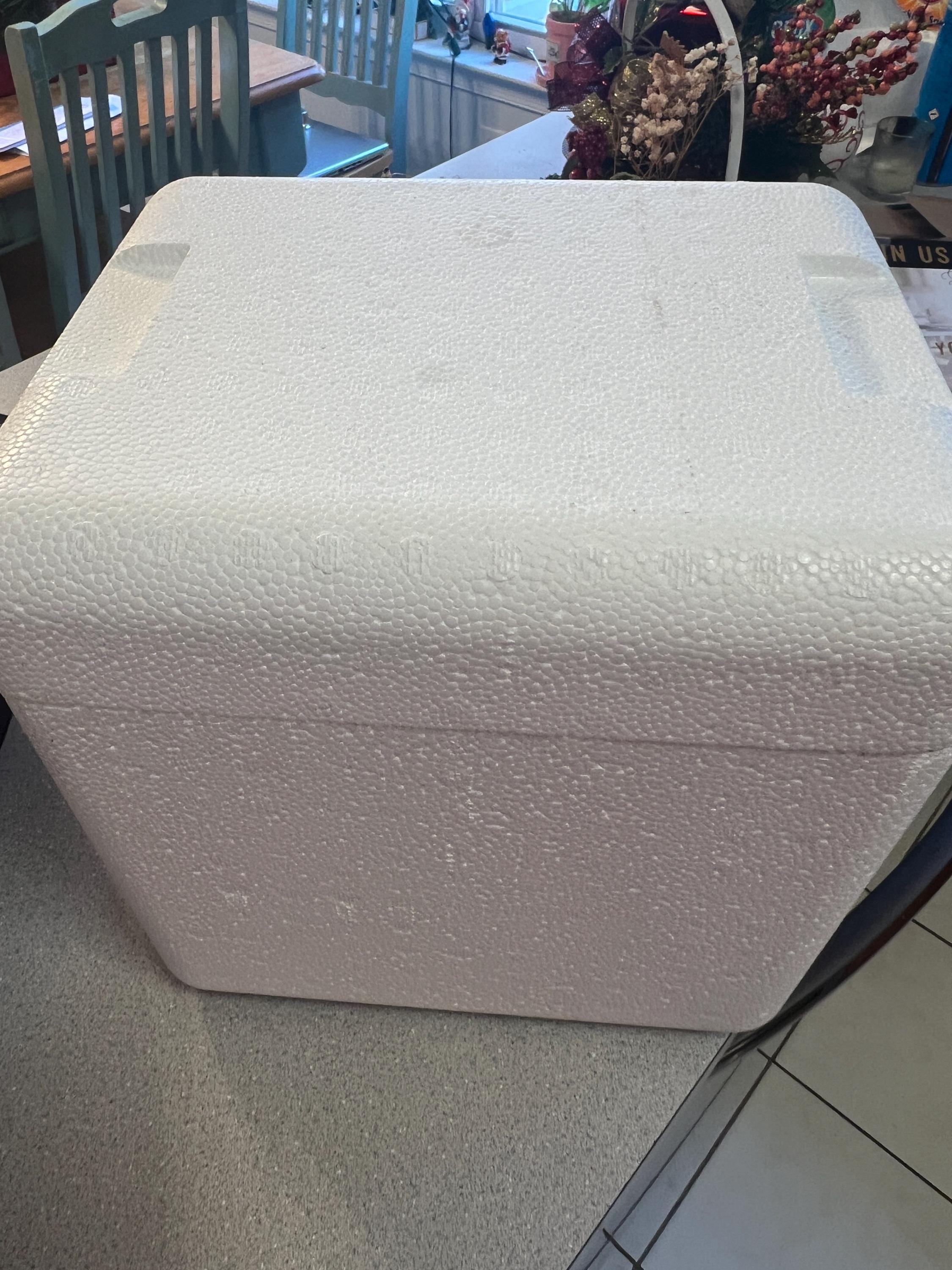Insulated Styrofoam Shipping Cooler Foam Container 10 1/2"x11"x 8 1/2 ...