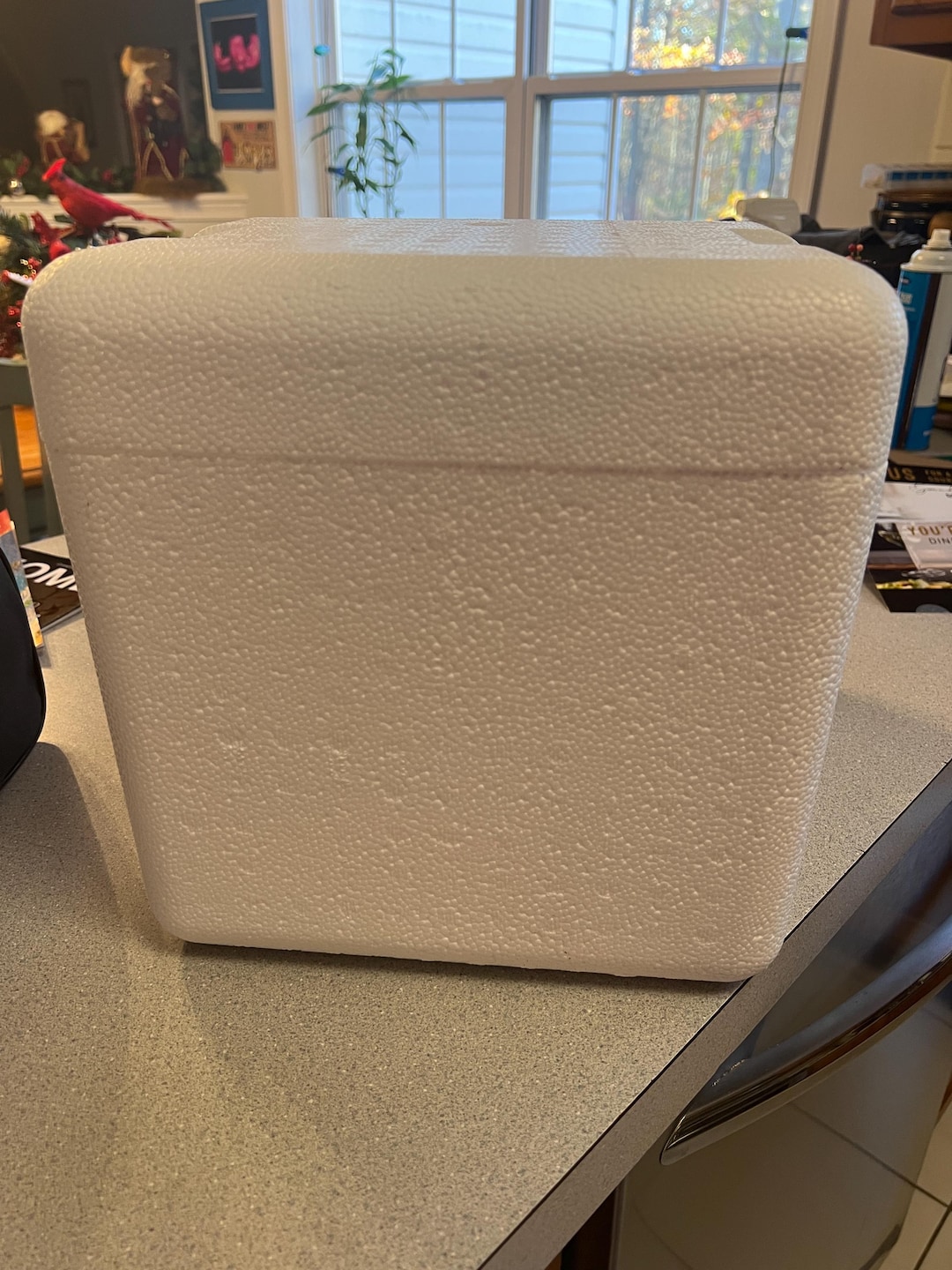 Insulated Styrofoam Shipping Cooler Foam Container 10 1/2"x11"x 8 1/2 ...