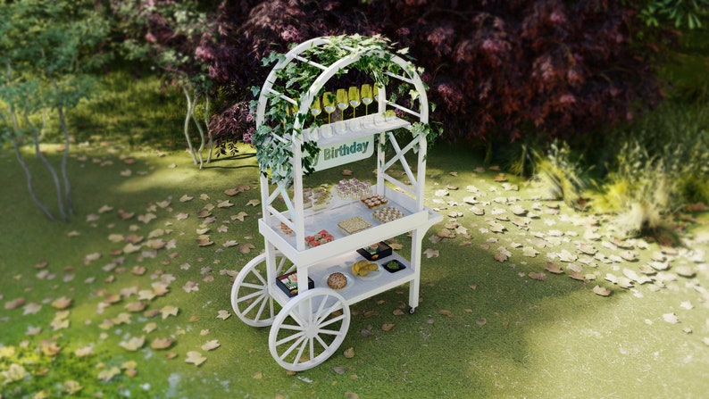 Candy Cart Plans / 25 X60 / Step-by-step Instructions - Etsy