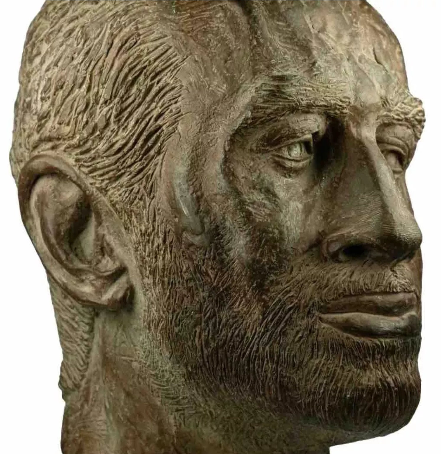 Bronze Head Sculpture - Etsy