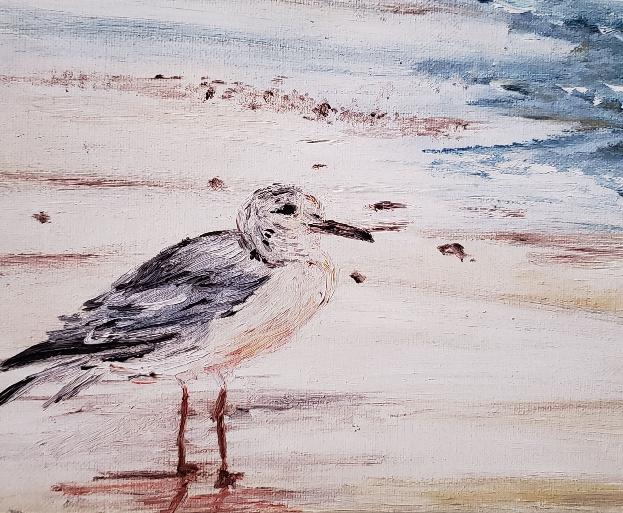 Seagull Painting Oil Painting on Canvas of seagull at Dawn Print Fine ...