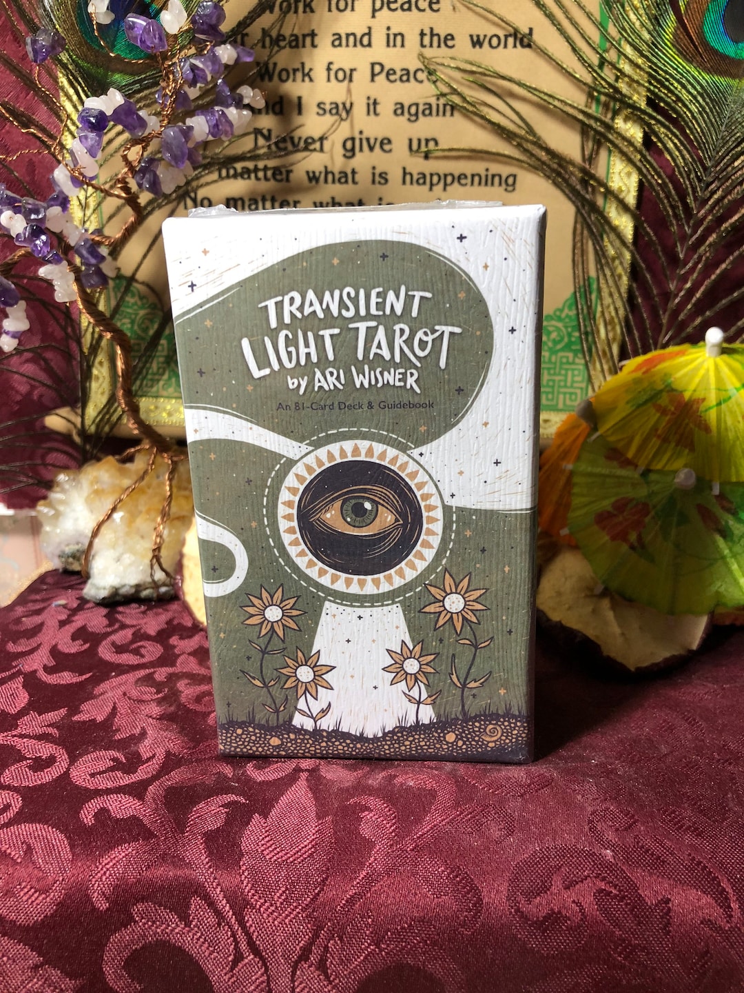 Transient Light Tarot by Ari Wisner is an 81 Card Deck With Guidebook ...