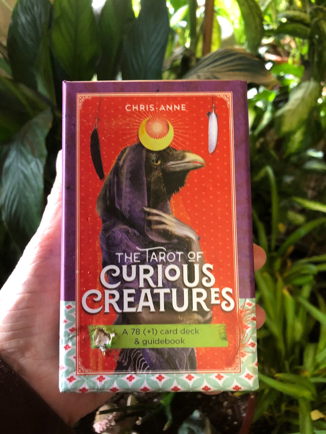 The Tarot of Curious Creatures by Chris Anne is a 78 Card Deck and ...