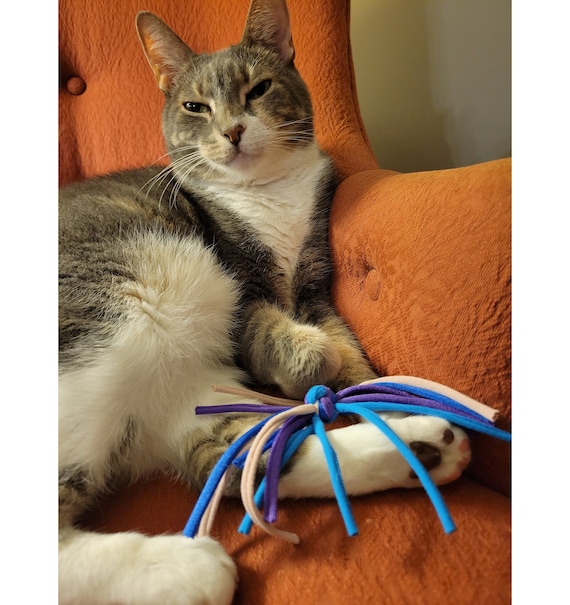 String Spyder Cat Toys / Light Weight Bat Toss and Chase Toy - Etsy