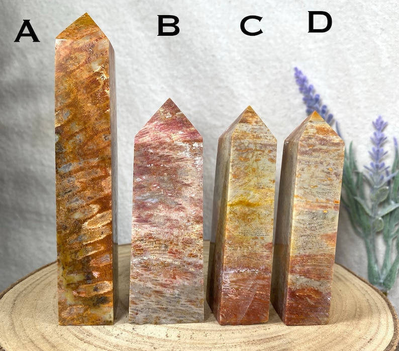 Pink Fossil Coral Tower: Agatized Healing Crystal - Etsy