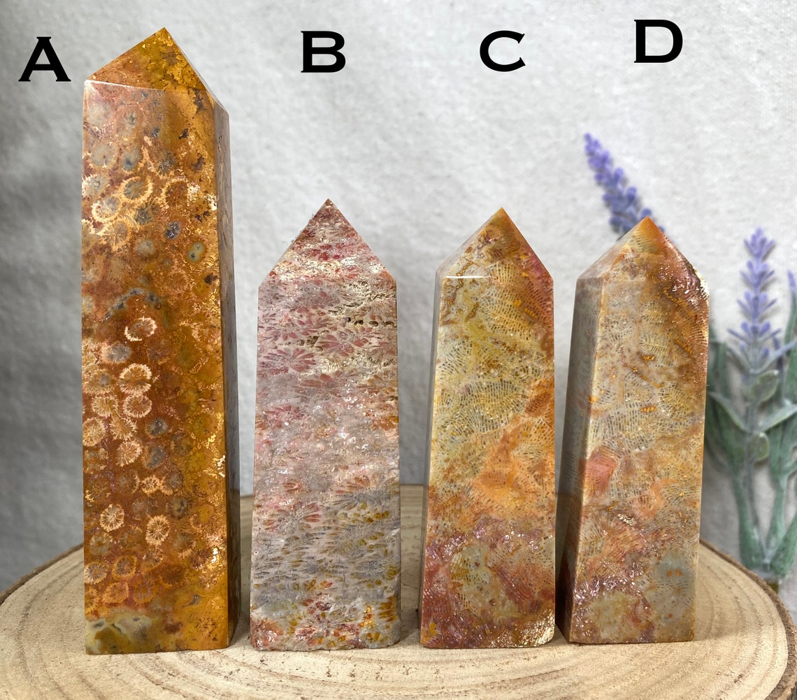 Pink Fossil Coral Tower: Agatized Healing Crystal - Etsy