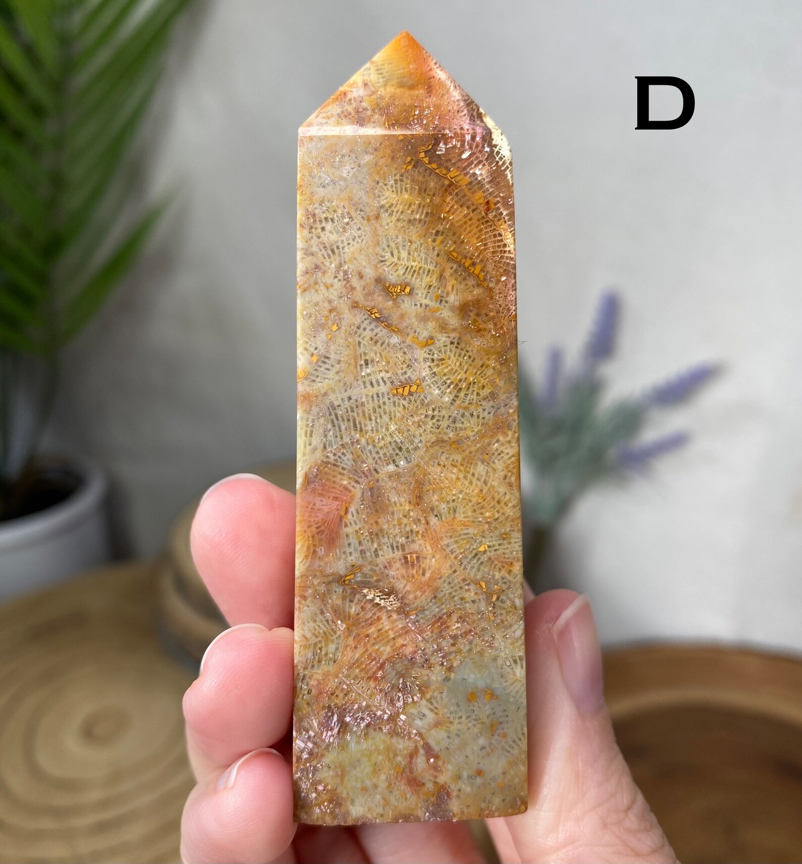 Pink Fossil Coral Tower: Agatized Healing Crystal - Etsy