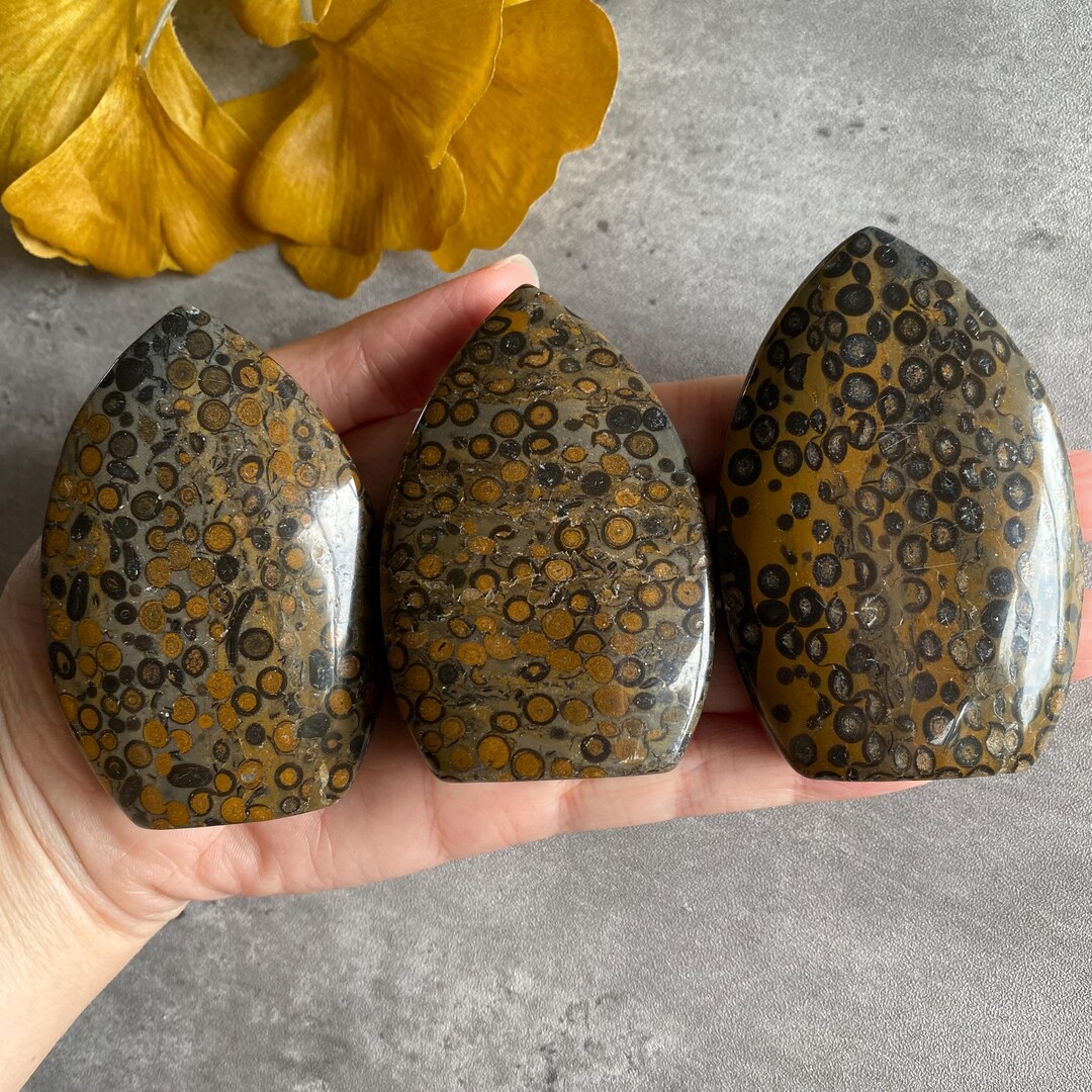 Chinese Leopard Jasper Flame - Etsy