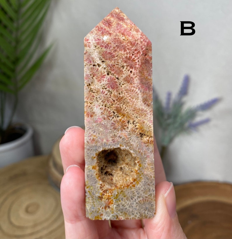 Pink Fossil Coral Tower: Agatized Healing Crystal - Etsy