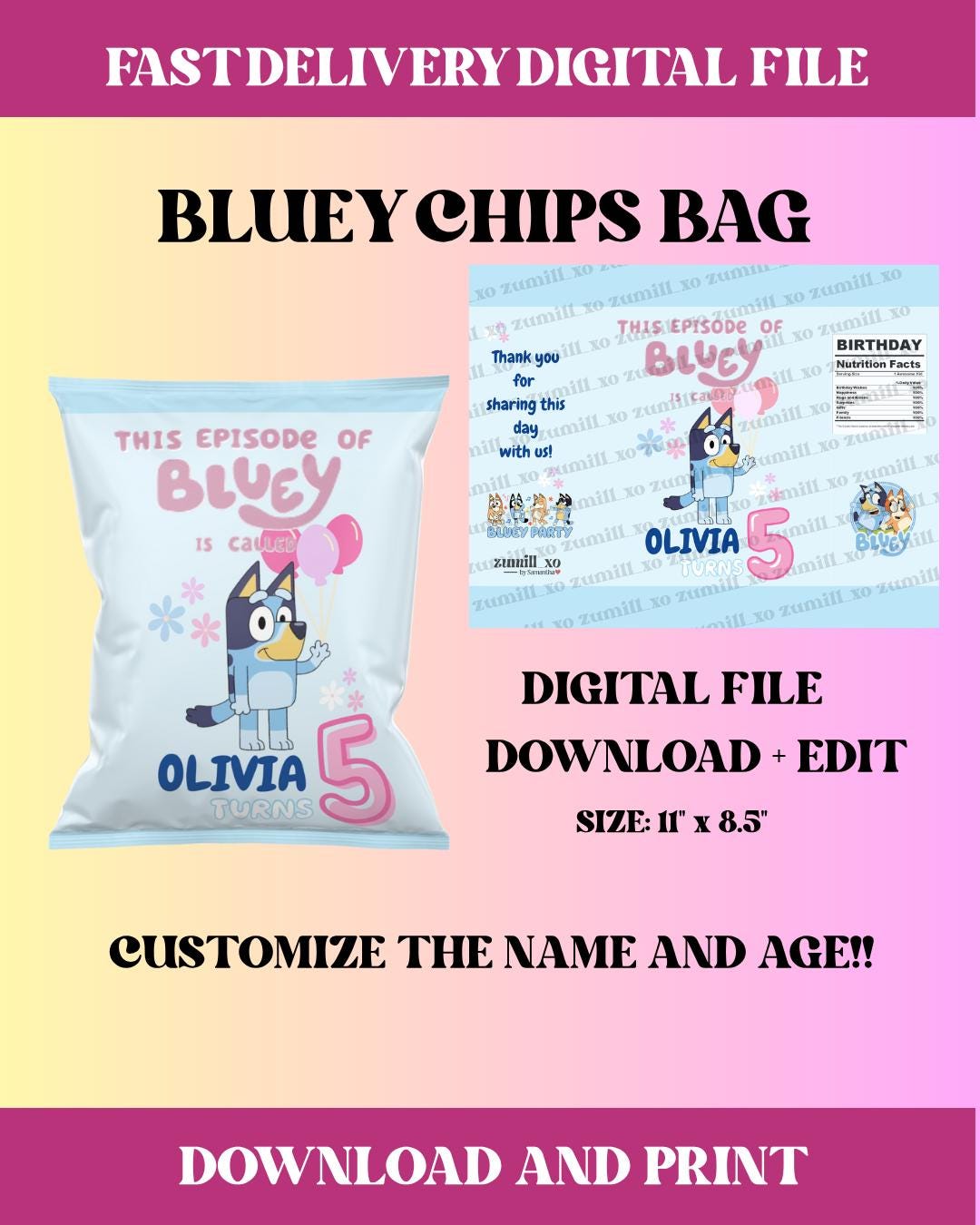 Bluey Birthday Chips Bag Template, Customizable Party Favor (digital ...