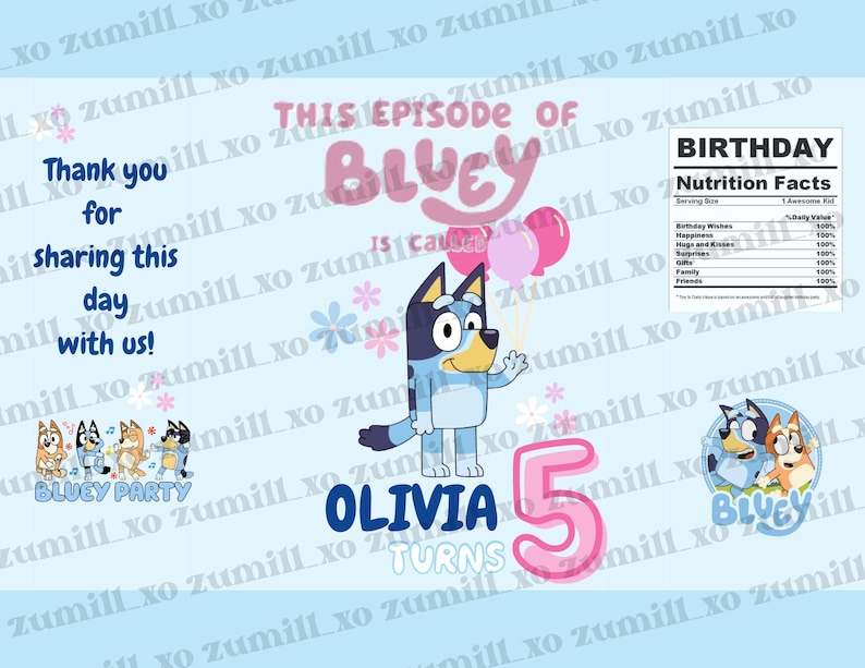 Bluey Birthday Chips Bag Template, Customizable Party Favor (digital ...
