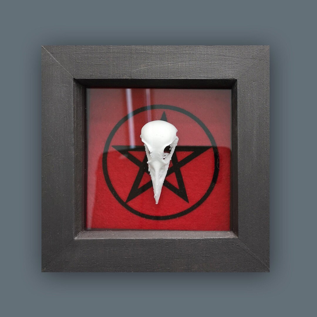 Shadow Box With 3d Bird Skull and Pentagram - Etsy