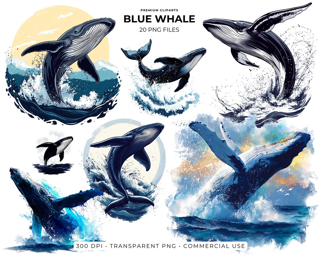 Whale PNG Clipart, Ocean Animals Clip Art Set, Printable Marine Life ...