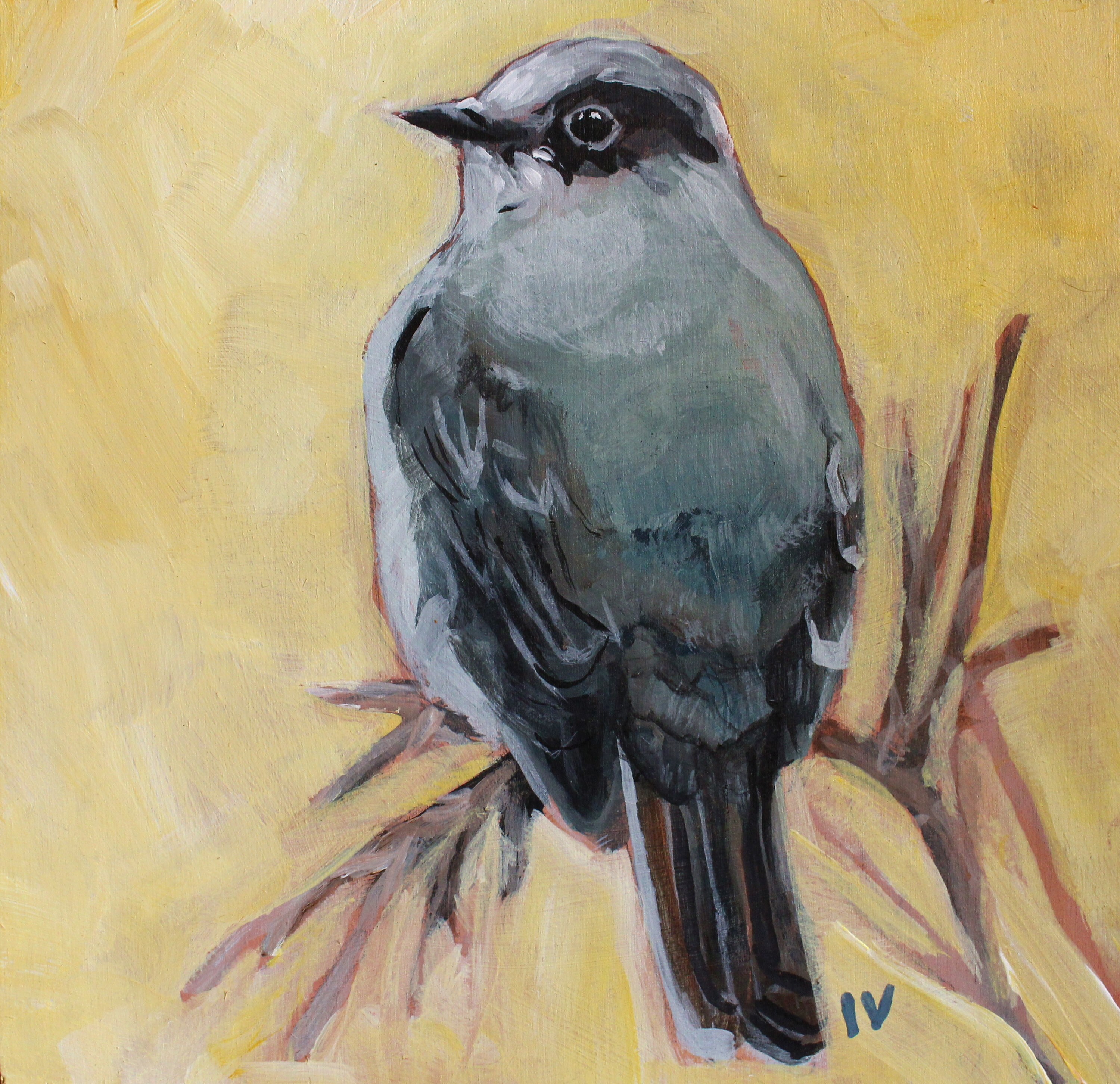 Townsend's Solitaire 6x6" Acrylic Painting on Wood - Etsy