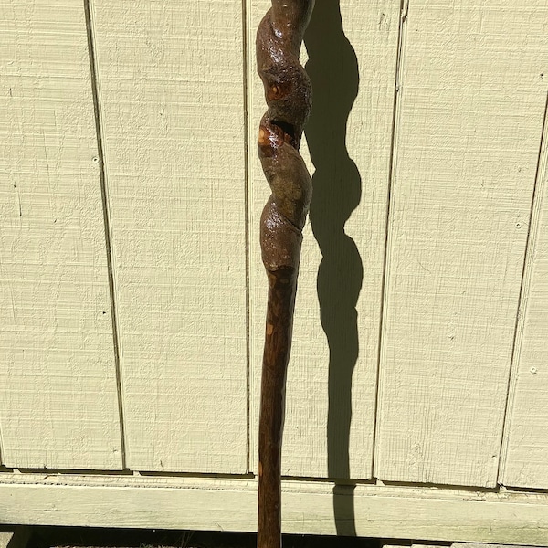 Hiking Stick Twisted - Etsy