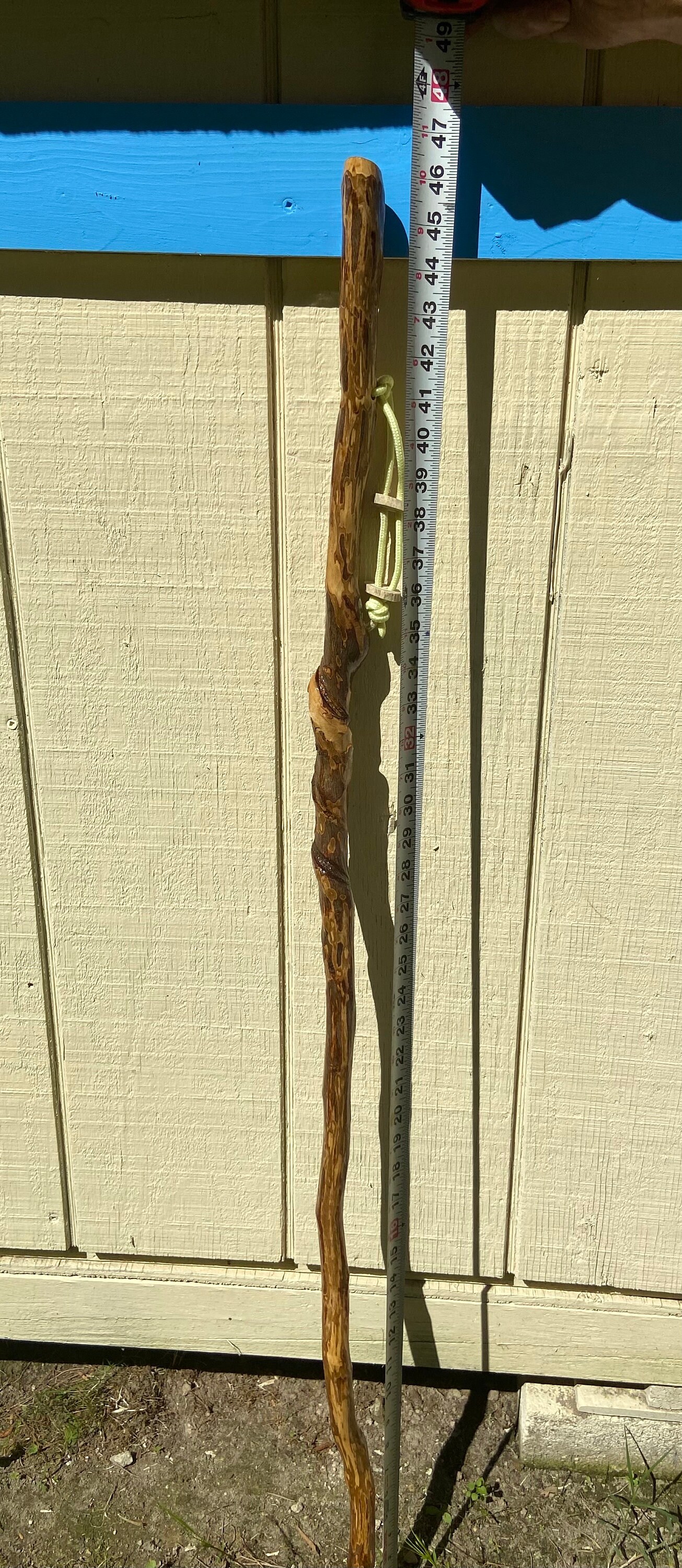Walking Stick Vine Twisted Walking Hiking Stick Hand Finished 48 ...
