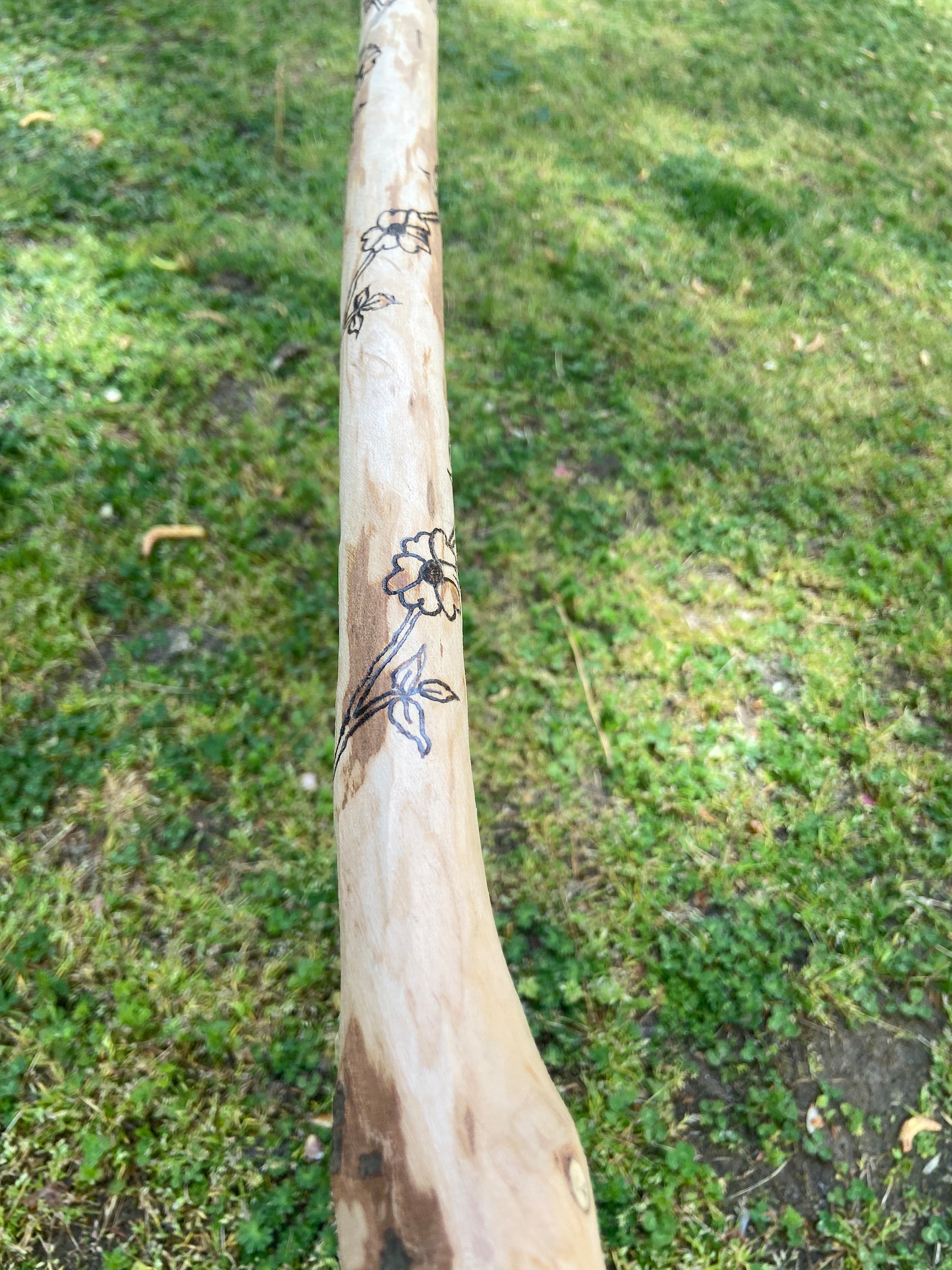 Natural Vine Twisted Walking Stick Unfinished With Primrose Burn ...