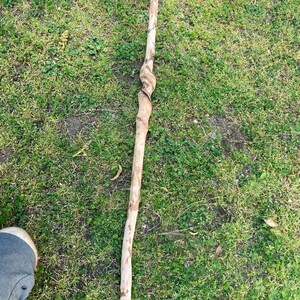 Natural Vine Twisted Walking Stick Unfinished With Primrose Burn ...