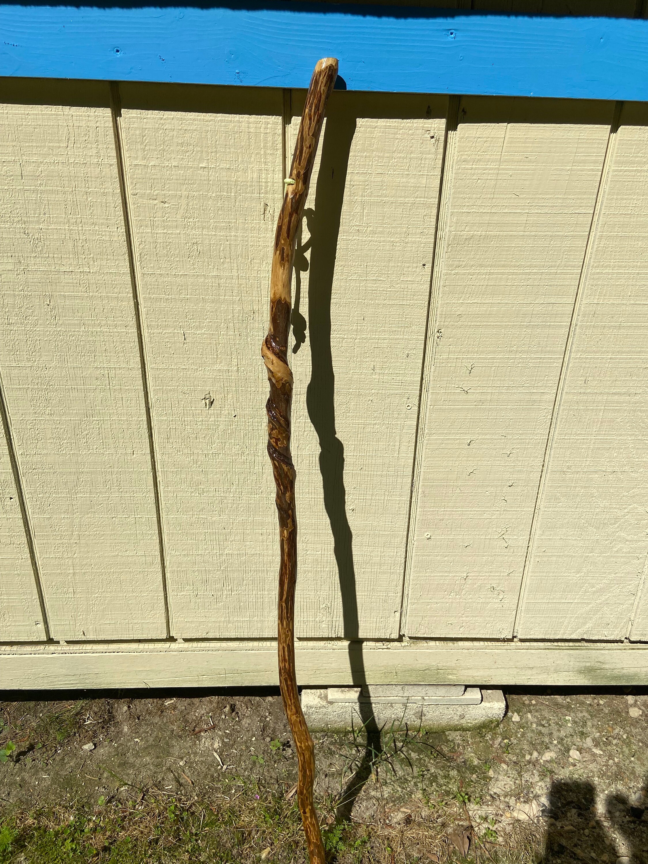 Walking Stick Vine Twisted Walking Hiking Stick Hand Finished 48 ...