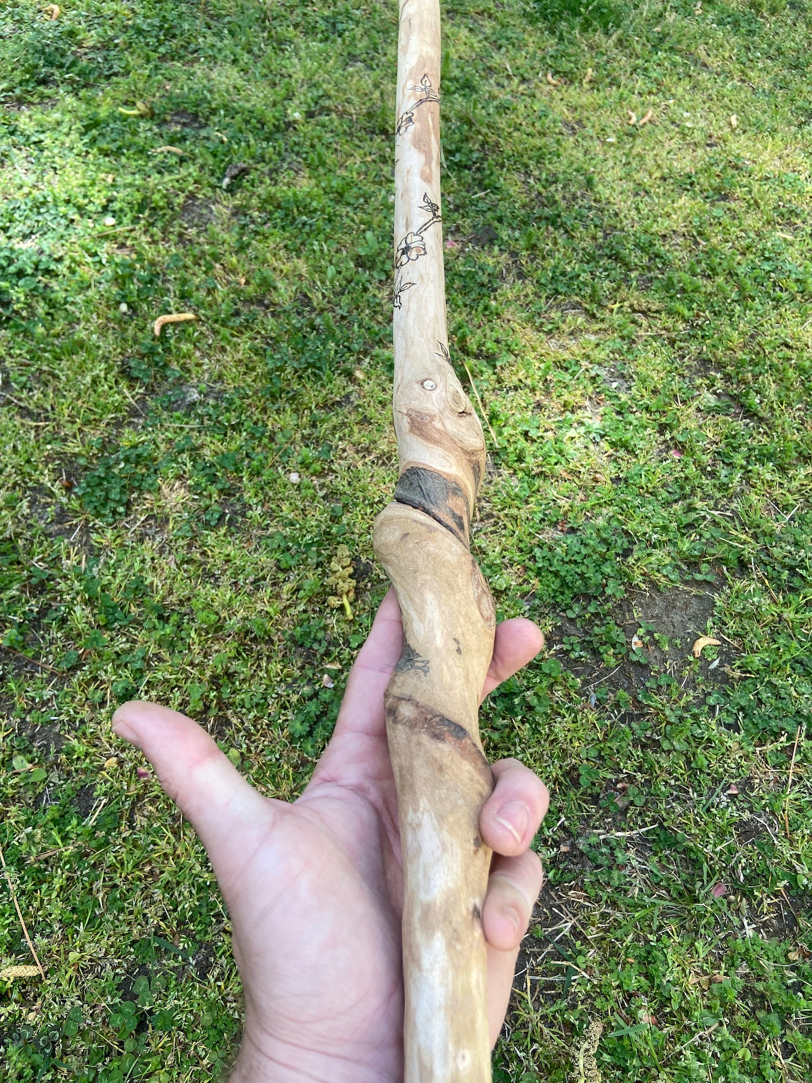 Natural Vine Twisted Walking Stick Unfinished With Primrose Burn ...