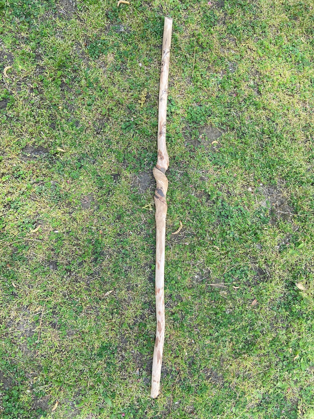 Natural Vine Twisted Walking Stick Unfinished With Primrose Burn ...