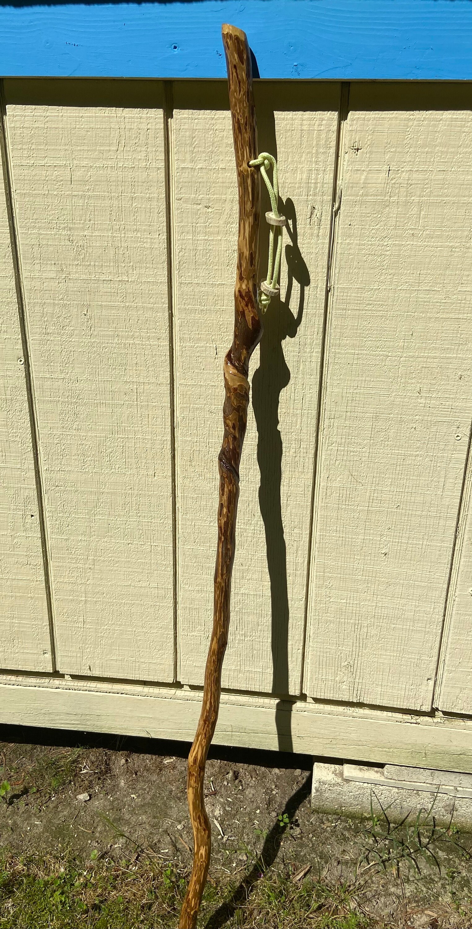 Walking Stick Vine Twisted Walking Hiking Stick Hand Finished 48 ...