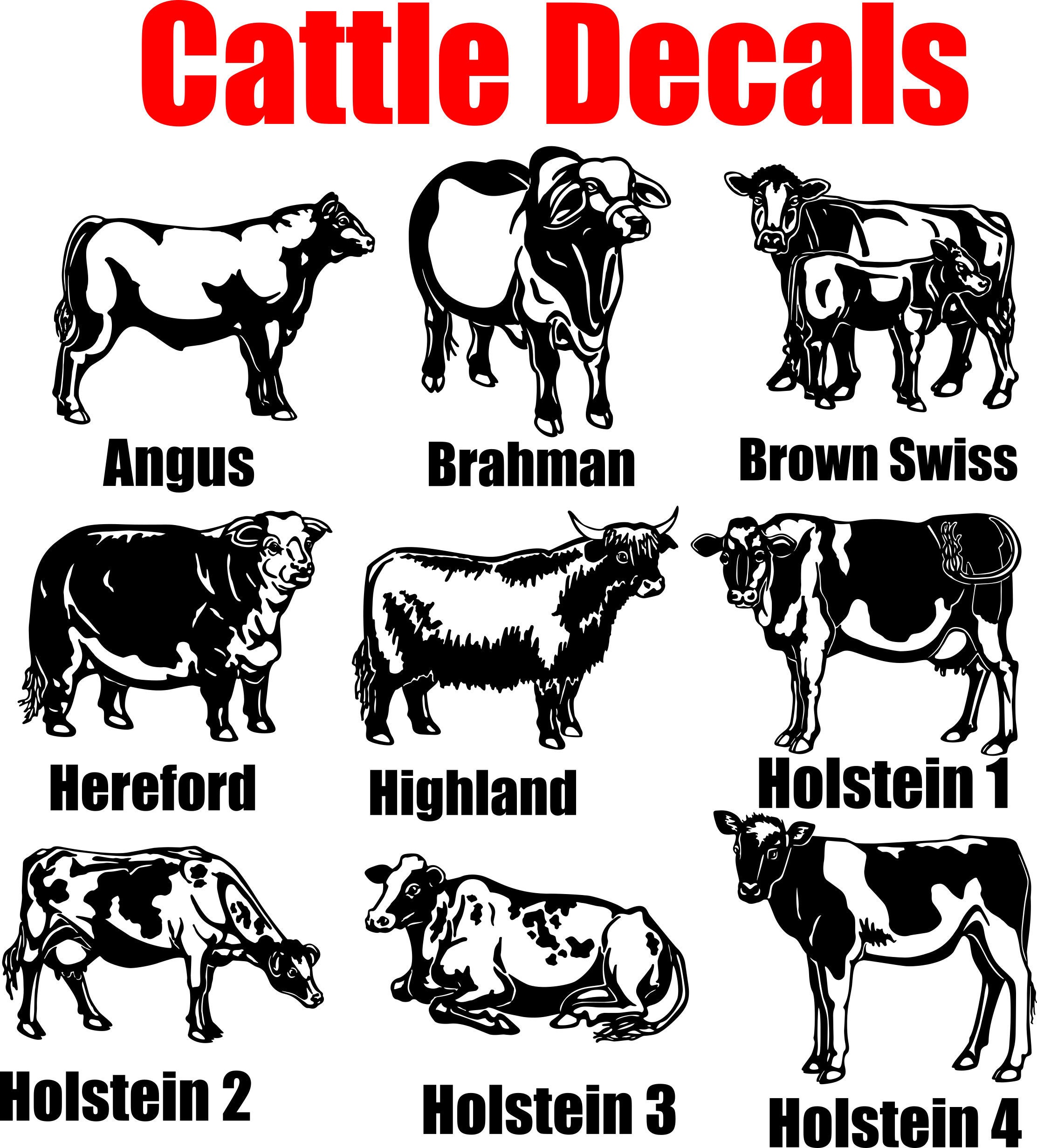 Cattle Decals Car Glass Laptop Mug Angus Brahman Brown Swiss | Etsy