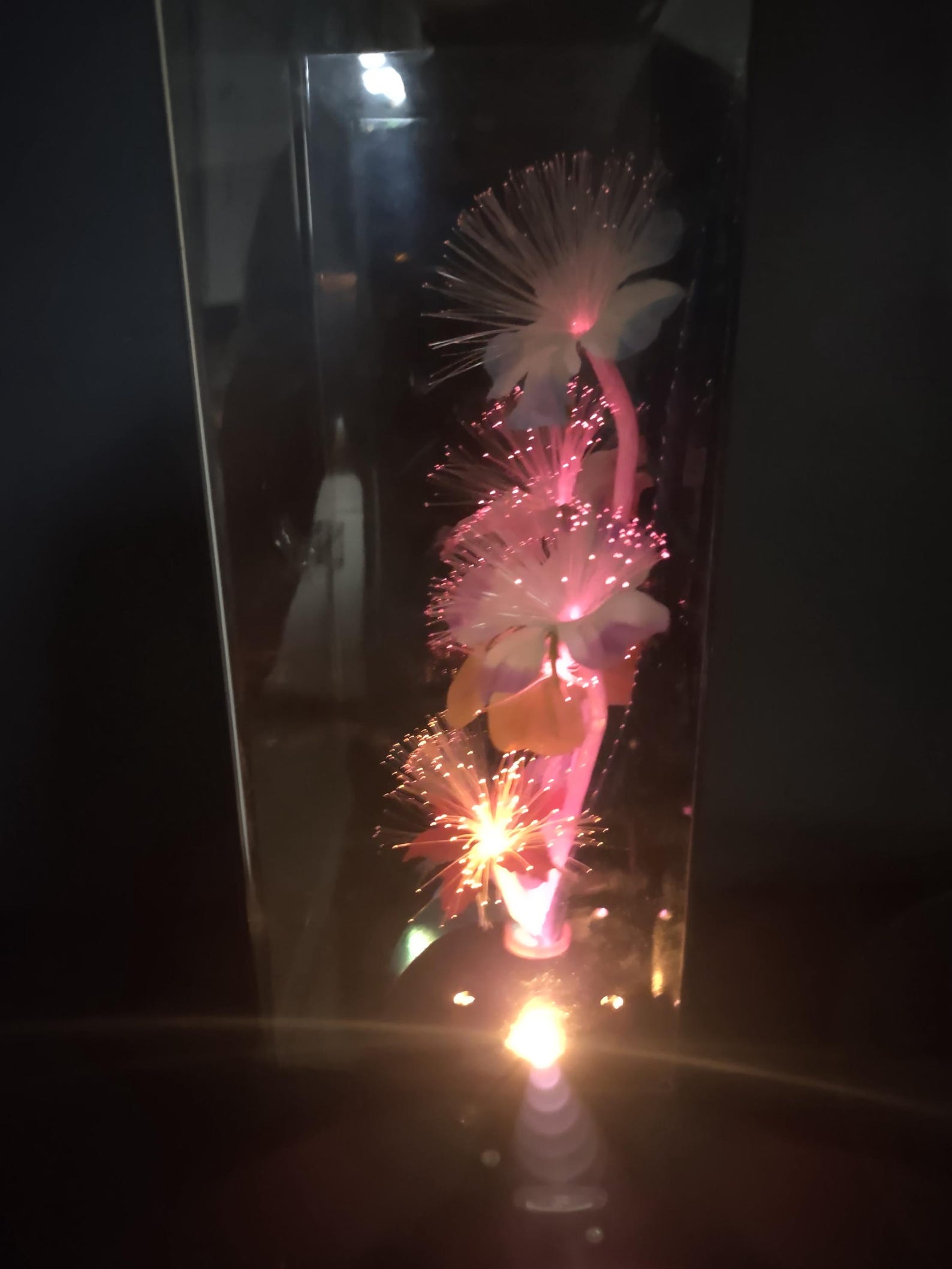 Mid Century Fiber Optic Light Music Box Vintage Flower Display Changes ...