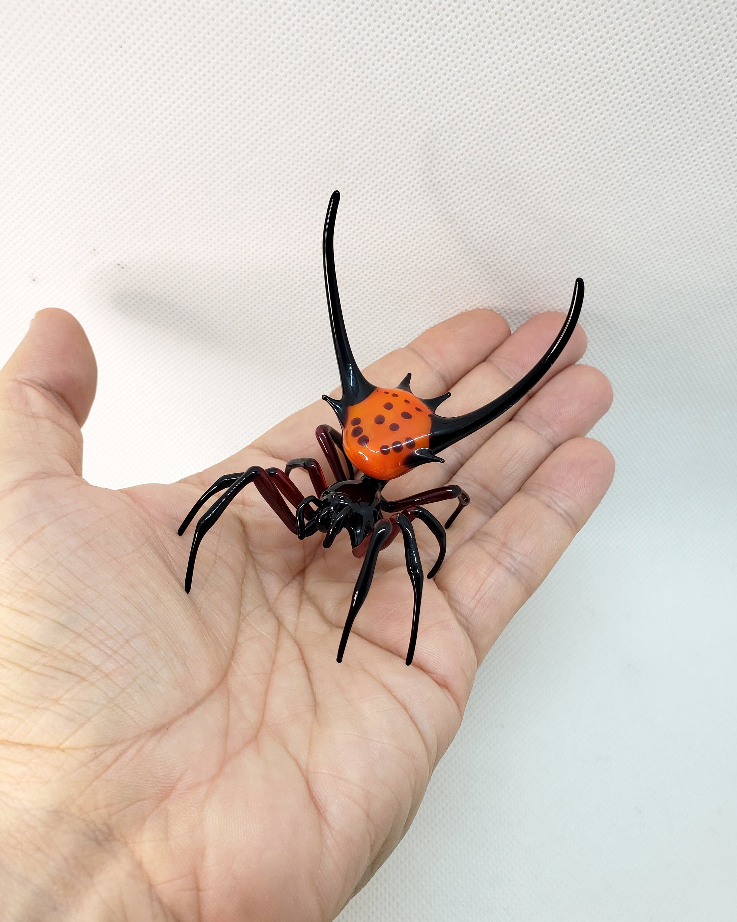 Buffalo Horn Spider, Orb Weaver Spider, Macracantha Arcuata, Handblown ...