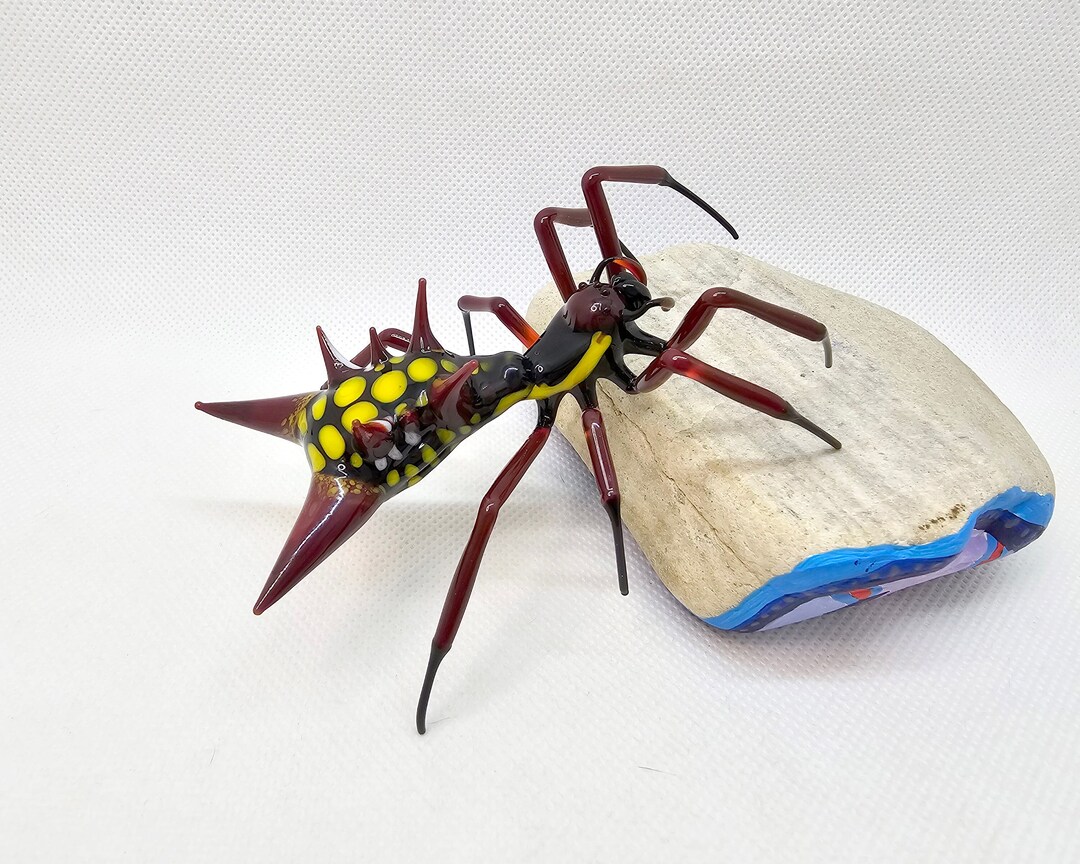 Spiny-bodied Spider, Micrathena Breviceps, Orb Weaver Spider, Handblown ...