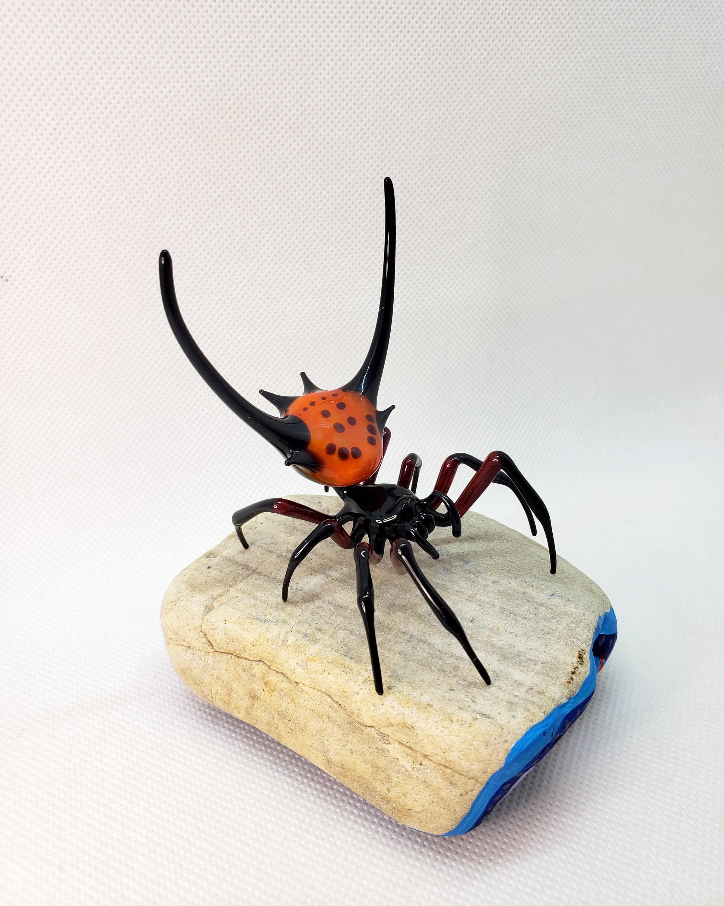 Buffalo Horn Spider, Orb Weaver Spider, Macracantha Arcuata, Handblown ...