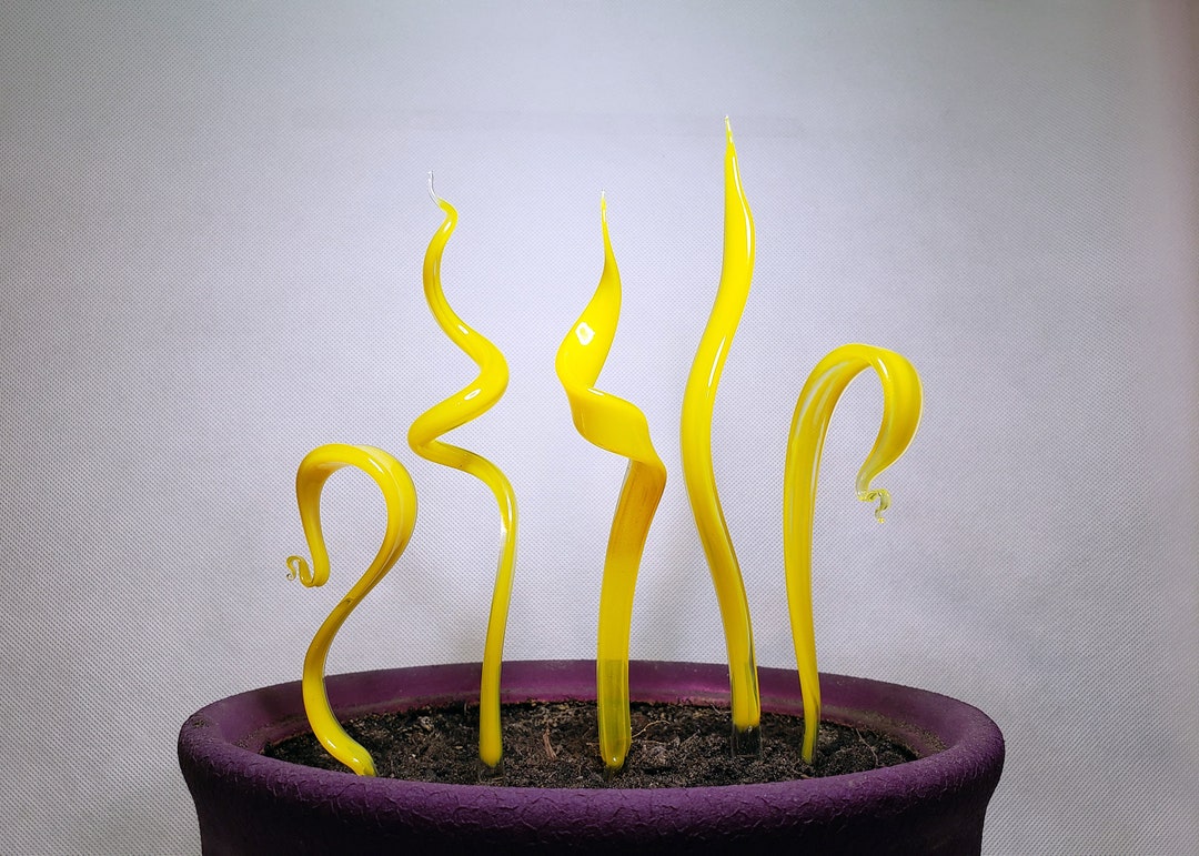 Large Glass Plant, Glass Flower, Glass Garden Art, Blown Garden, Glass ...