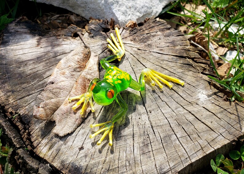 Tree Frog Agalychnis Callidryas Glass Frog Art Glass Blown - Etsy