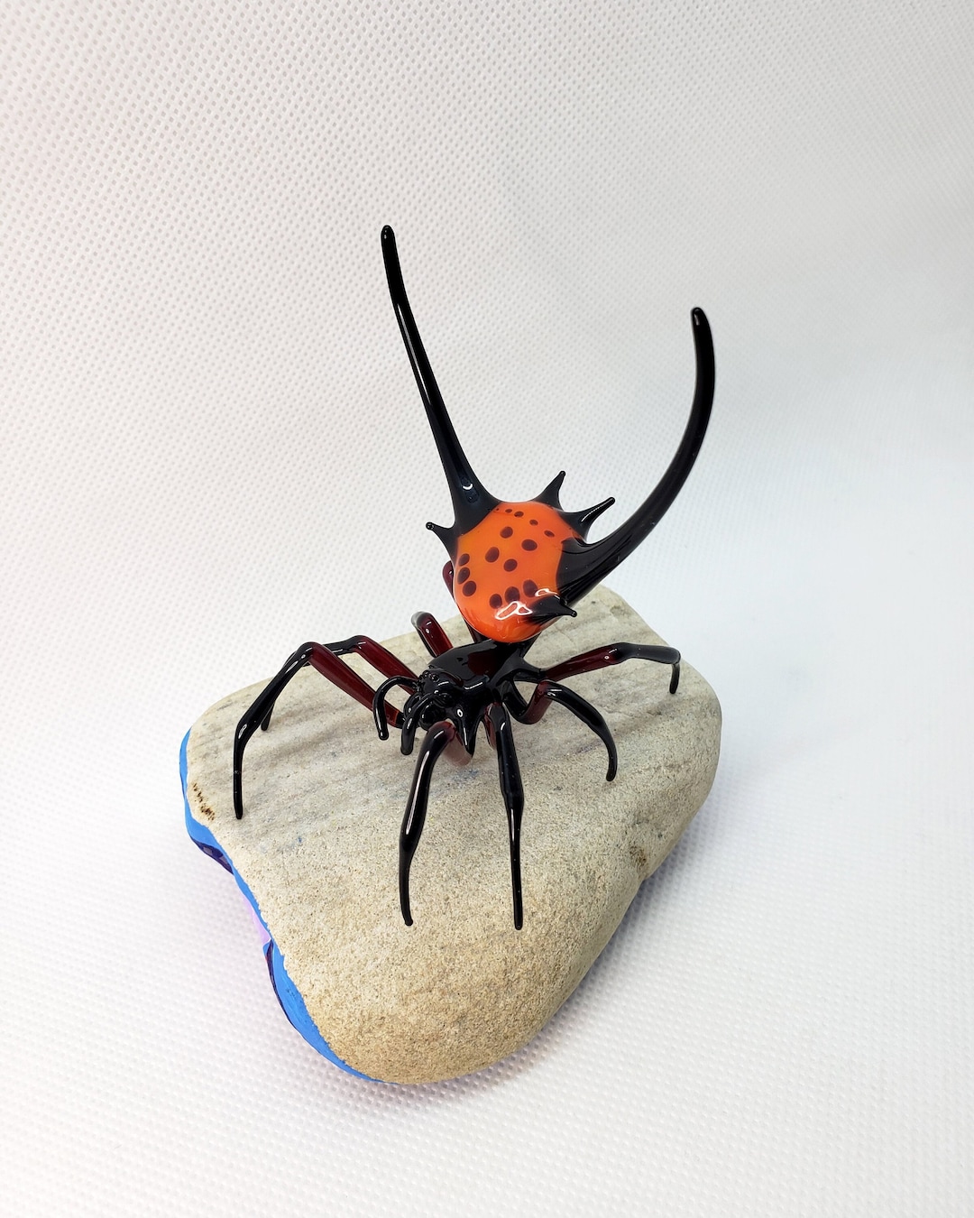Buffalo Horn Spider, Orb Weaver Spider, Macracantha Arcuata, Handblown ...