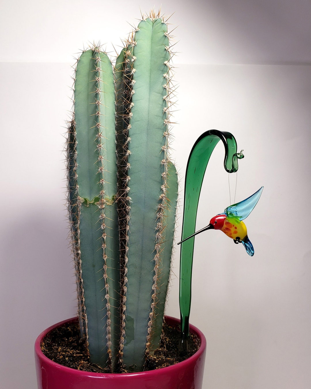 Large Glass Plant With Hummingbird, Decoration for Plants, Garden Art ...