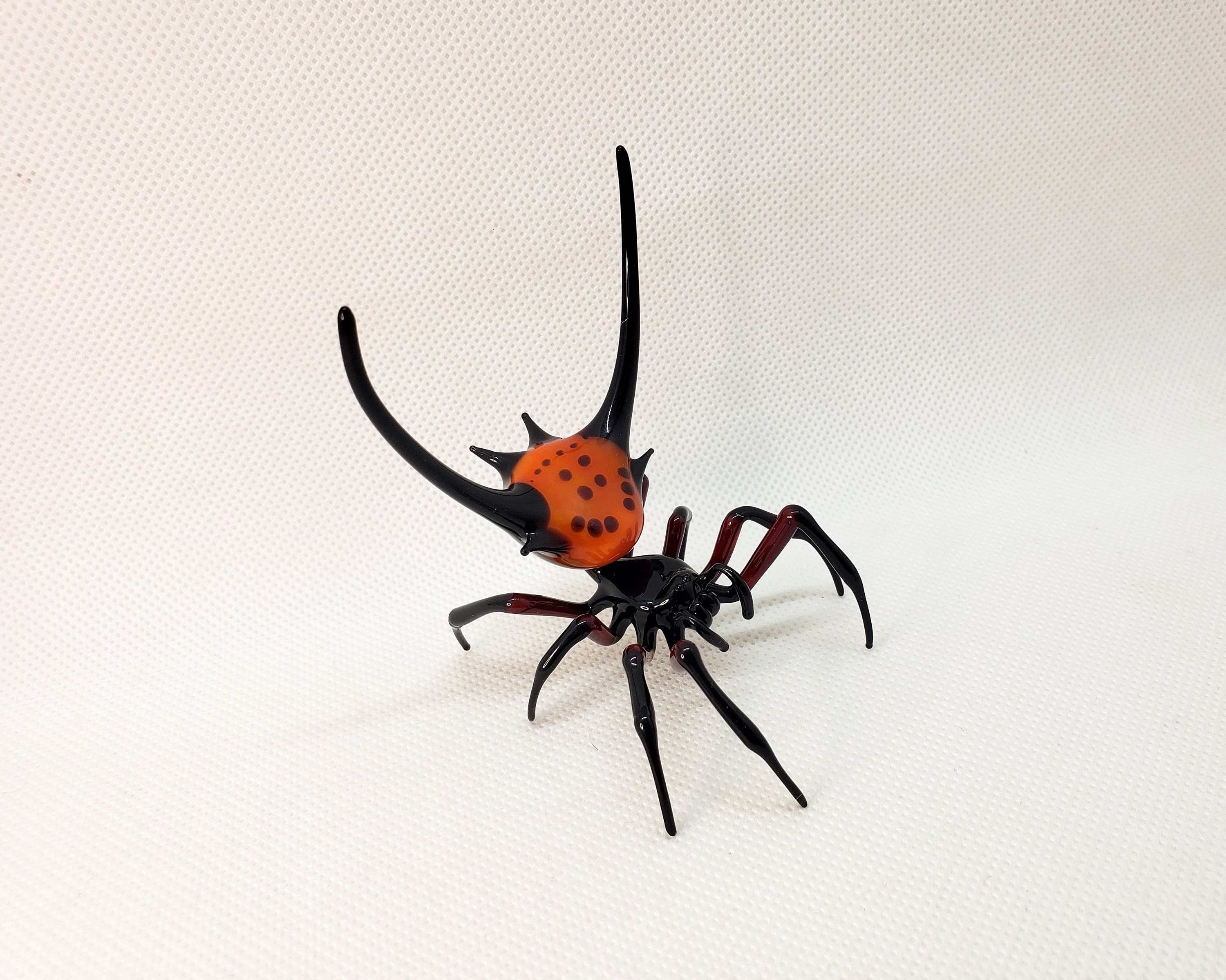Buffalo Horn Spider, Orb Weaver Spider, Macracantha Arcuata, Handblown ...